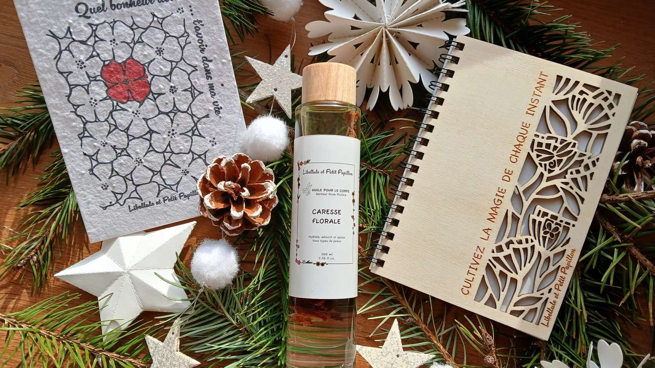 Libellule et Petit Papillon - Ulule