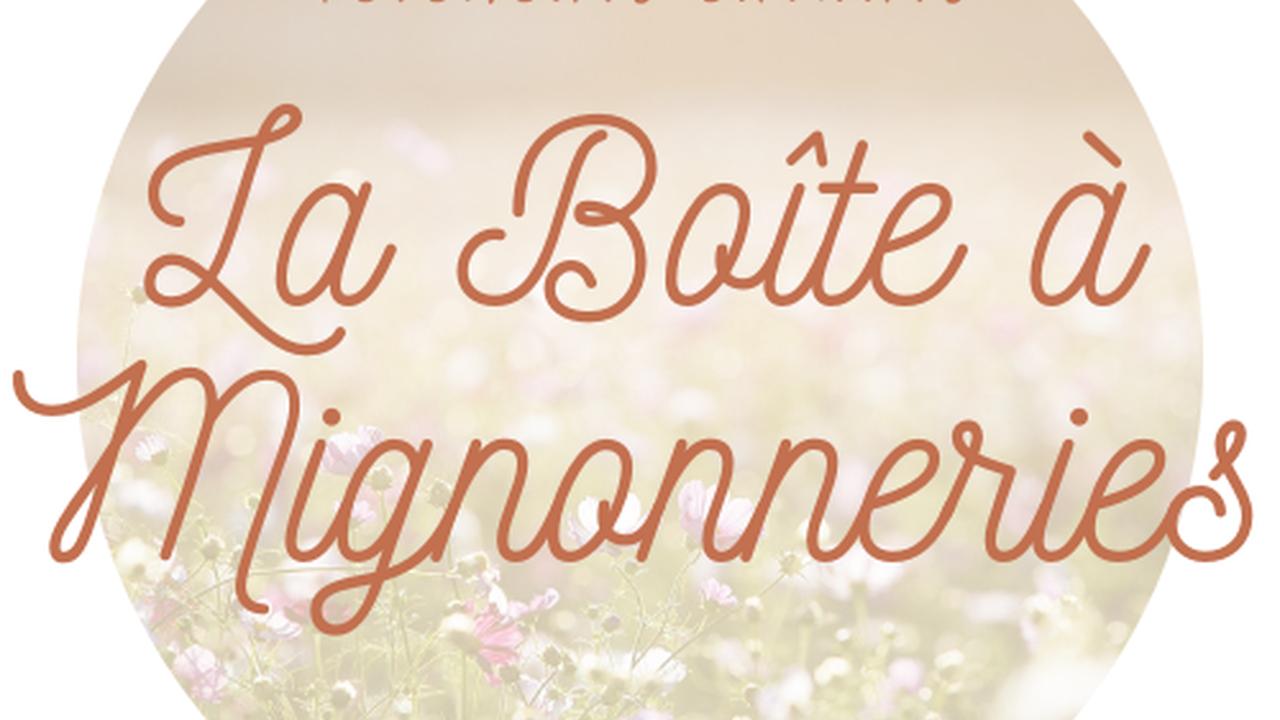 Projet : boutique physique La Boîte à Mignonneries