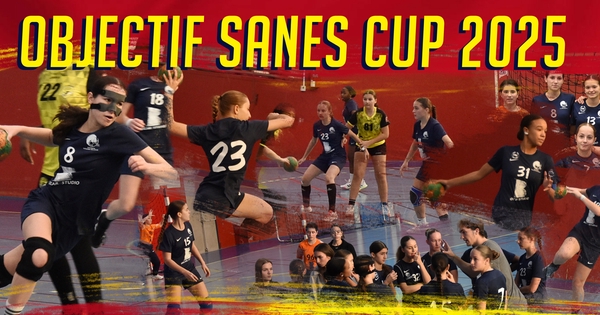 HANDBALL CALUIRE SANES CUP
