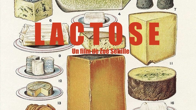 Projet de court-métrage - LACTOSE