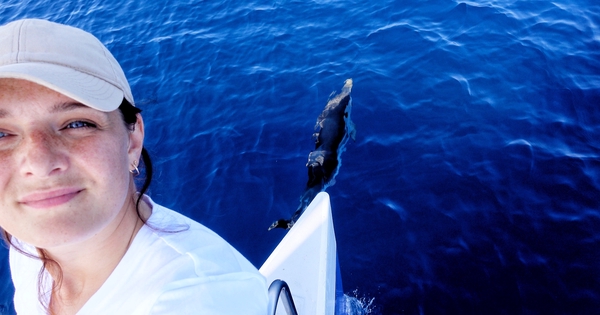 Soutenez moi 🩷 Marie Treibert - Ulule