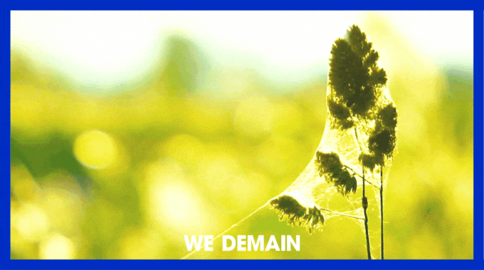 SOUTENEZ L'OPÉRATION DE WE DEMAIN "J'AIME NOS TERRITOIRES" - Ulule