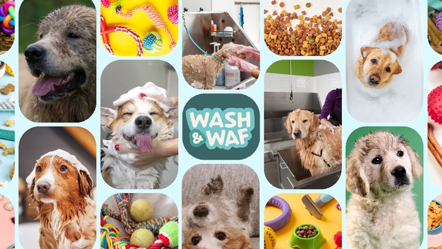 🐶Dogwash et boutique, le nouveau paradis des toutous!🐶 - Ulule