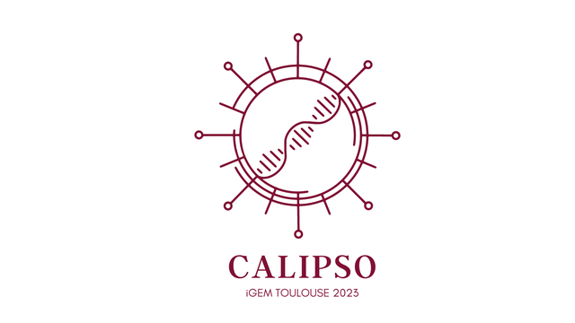 CALIPSO - traitement intelligent contre le cancer - Ulule
