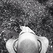 Cécile Nicolas - Ulule