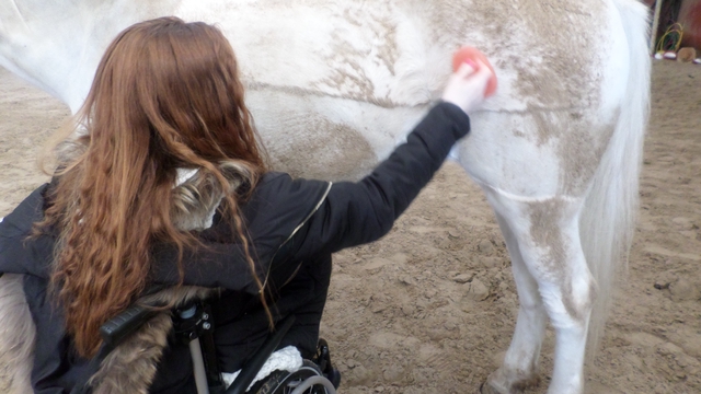 Le cheval , le meilleur ami de jeunes cérébrolésés