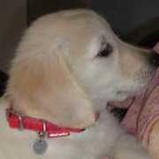 marie-cecile-moreau - Ulule