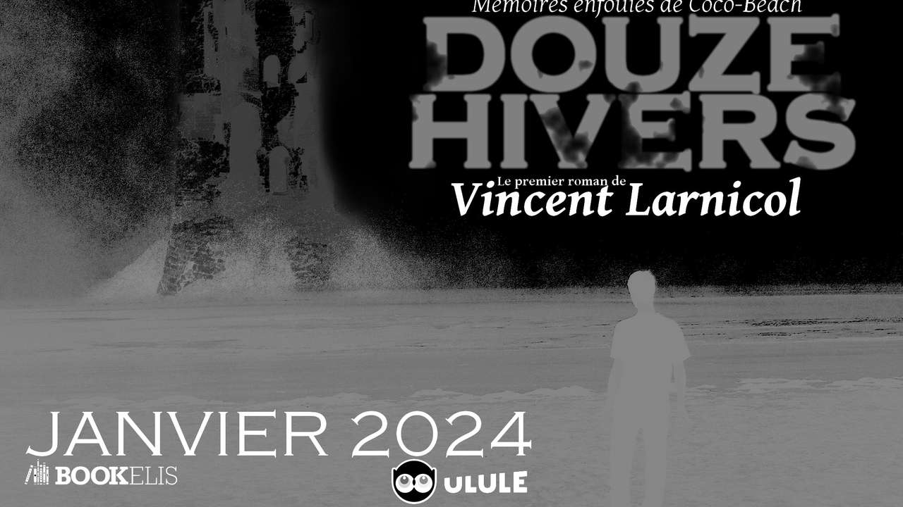 "Douze Hivers" : Le premier roman de Vincent Larnicol - Ulule