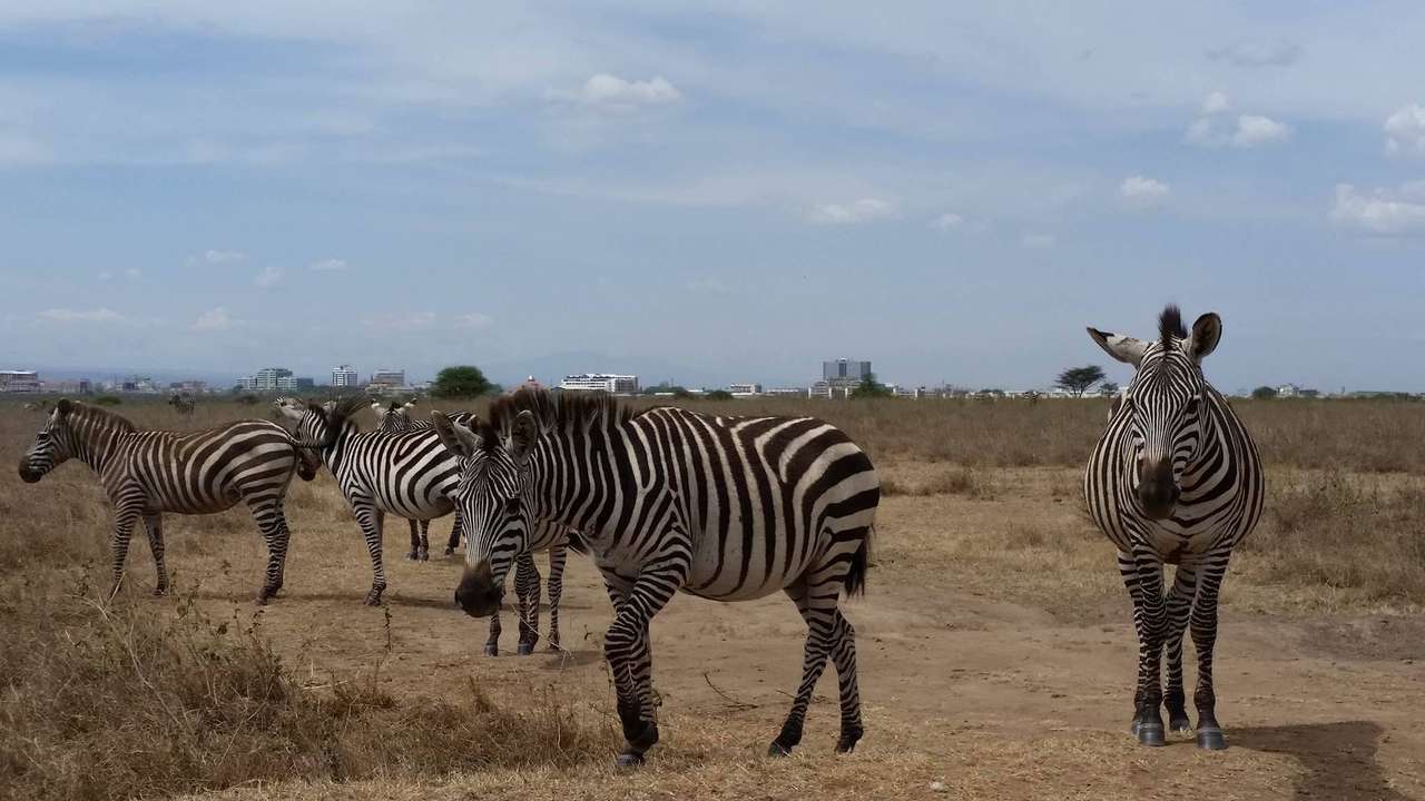 Sur les Traces de Karembo
