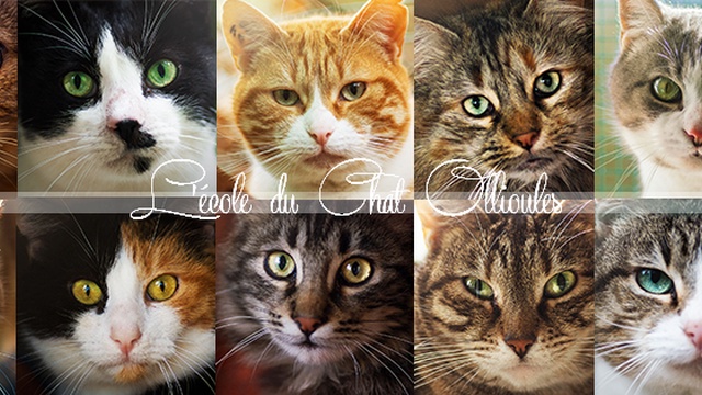 Gregory Napoli - Ulule