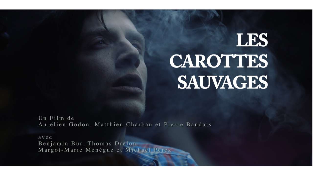 Les Carottes Sauvages