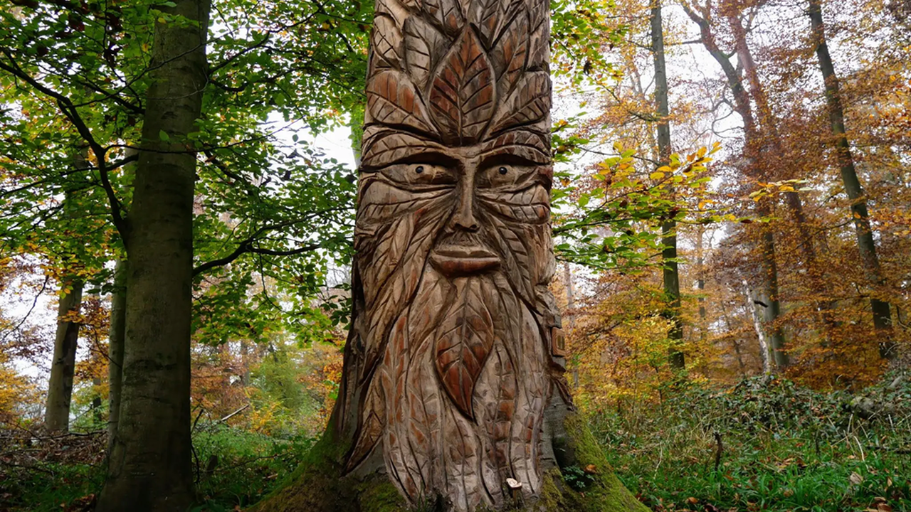 Largest Sculpture Path in the Woods for everybody