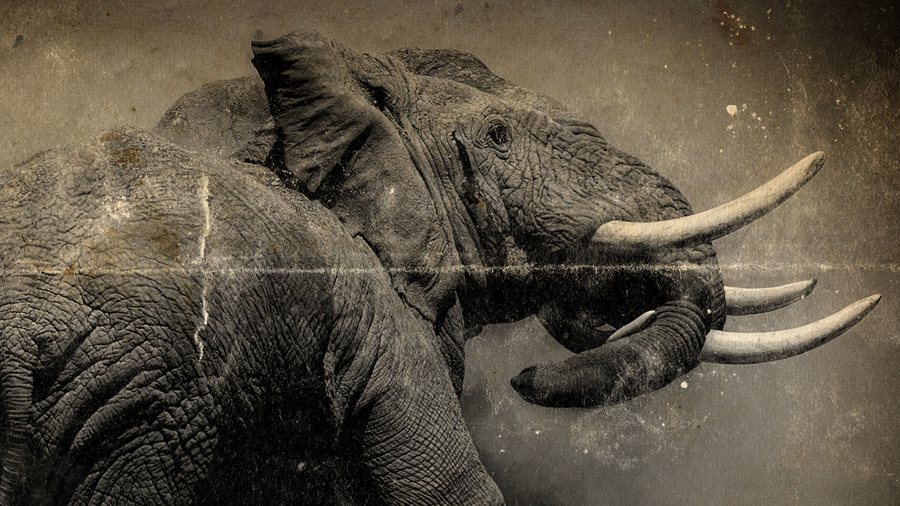 CHRONIQUES, CONTES & LEGENDES... - Ulule