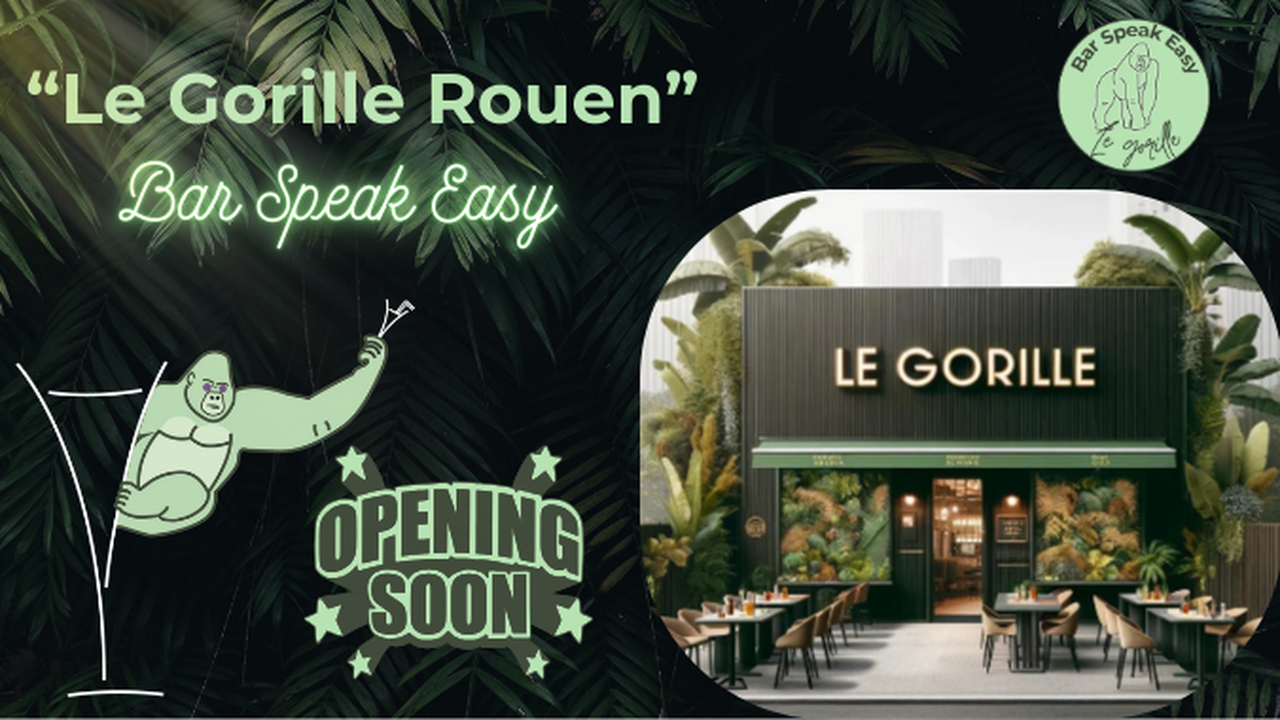 Le Gorille Rouen Bar Speak Easy engagé 🦍 🦧