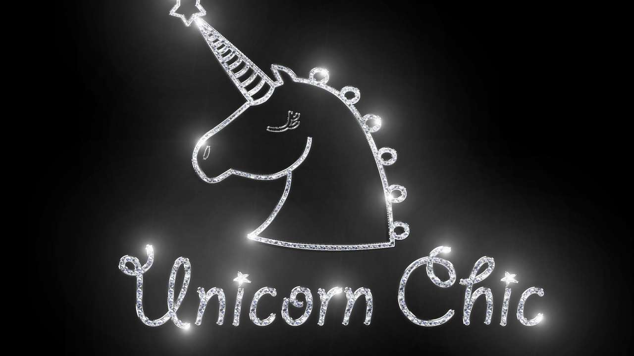 Unicorn Chic, matériel pour licornes et cavaliers - Ulule
