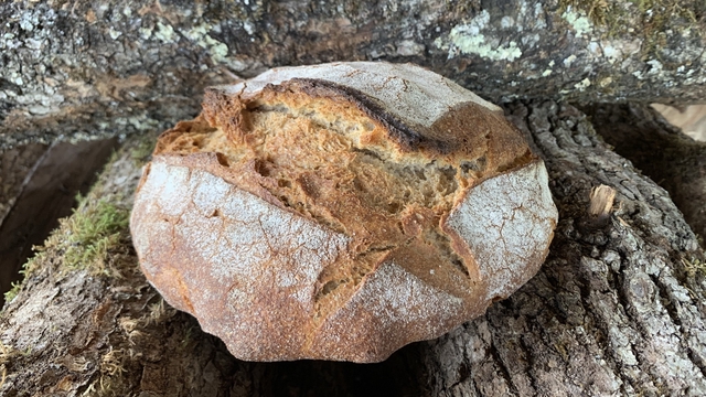 Lomagnol, l'art du pain gascon