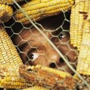 Bernard Blancan - Ulule