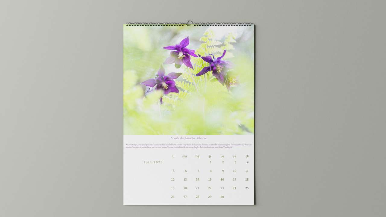Calendriers photo 2023 - Martin Van Boone