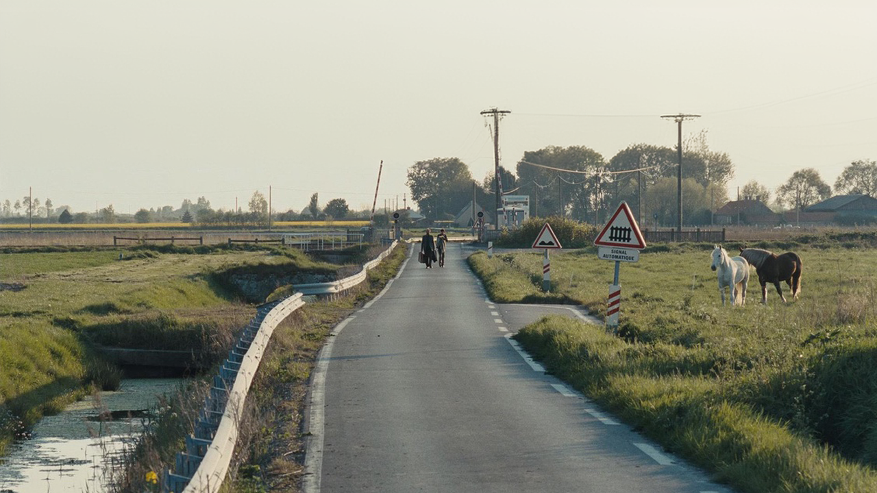 Los Pollitos Freross - un court-métrage de Katell SCHILL