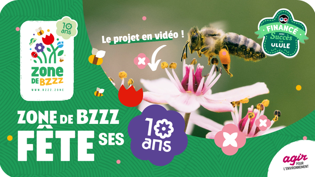 Zone de Bzzz fête ses 10 ans ! - Ulule