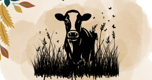 Cosmétiques au lait de vache Bio, votre allié quotidien
