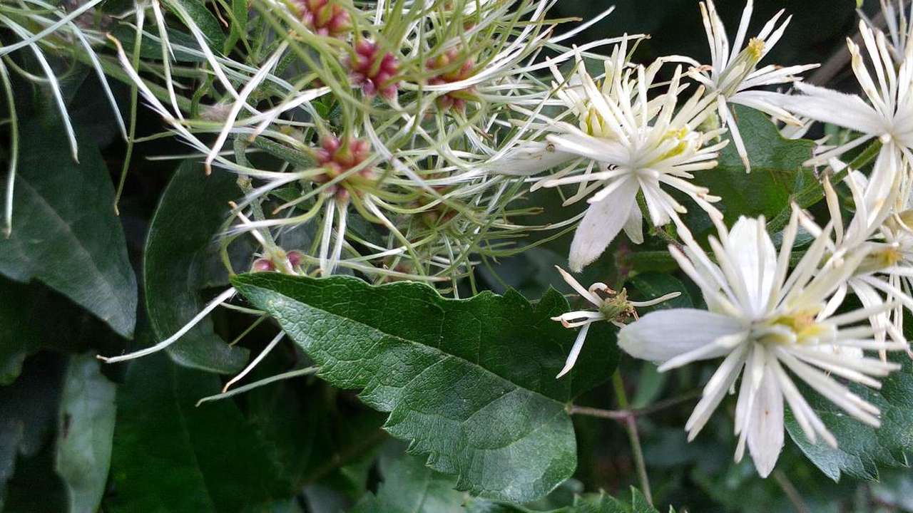 Mon changement de saison!