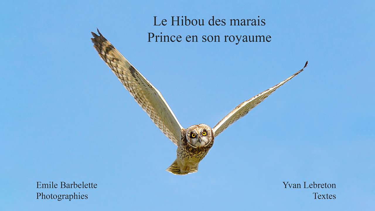 LIVRE " LE HIBOU DES MARAIS, PRINCE EN SON ROYAUME " - Ulule