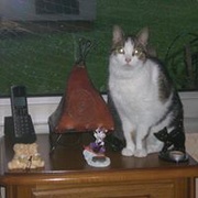 Bernard Conus - Ulule