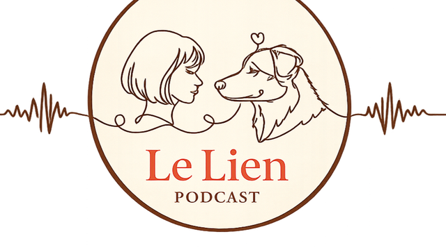 Le Lien - Podcast - Ulule