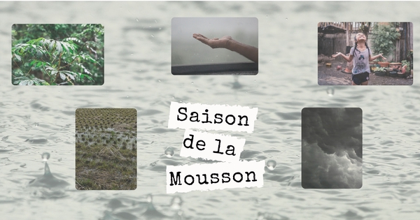 Saison de mousson – Une traversée visuelle et poétique
