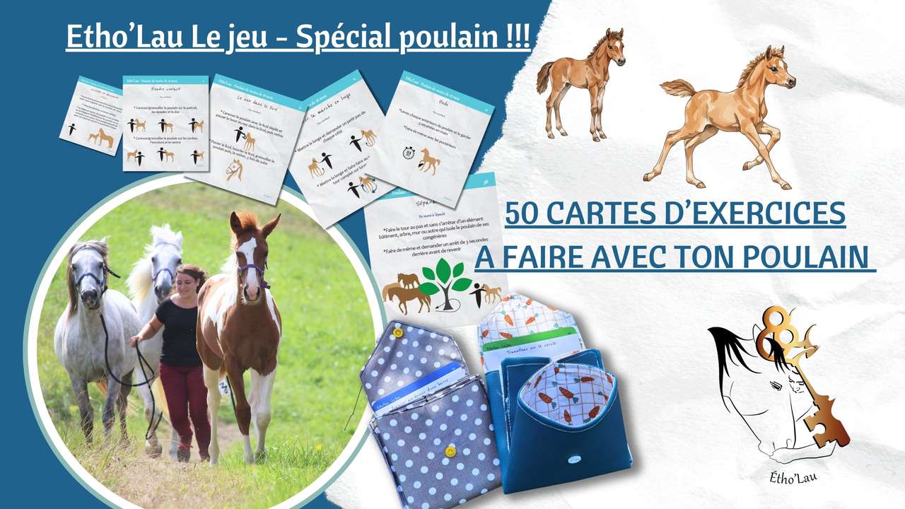 Etho'Lau le jeu - Spécial poulain