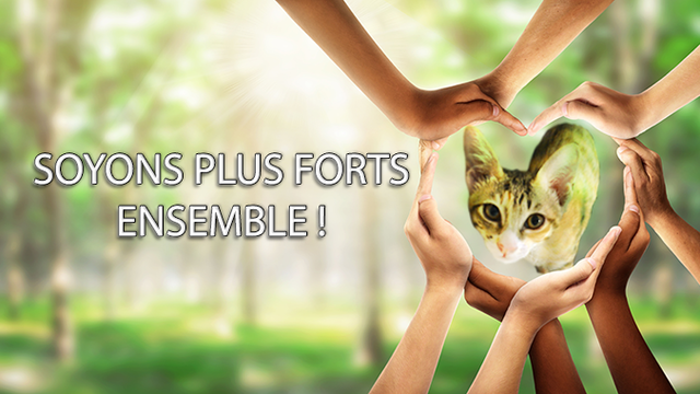 Pour aider au lancement de mon association pour mes 50 ans