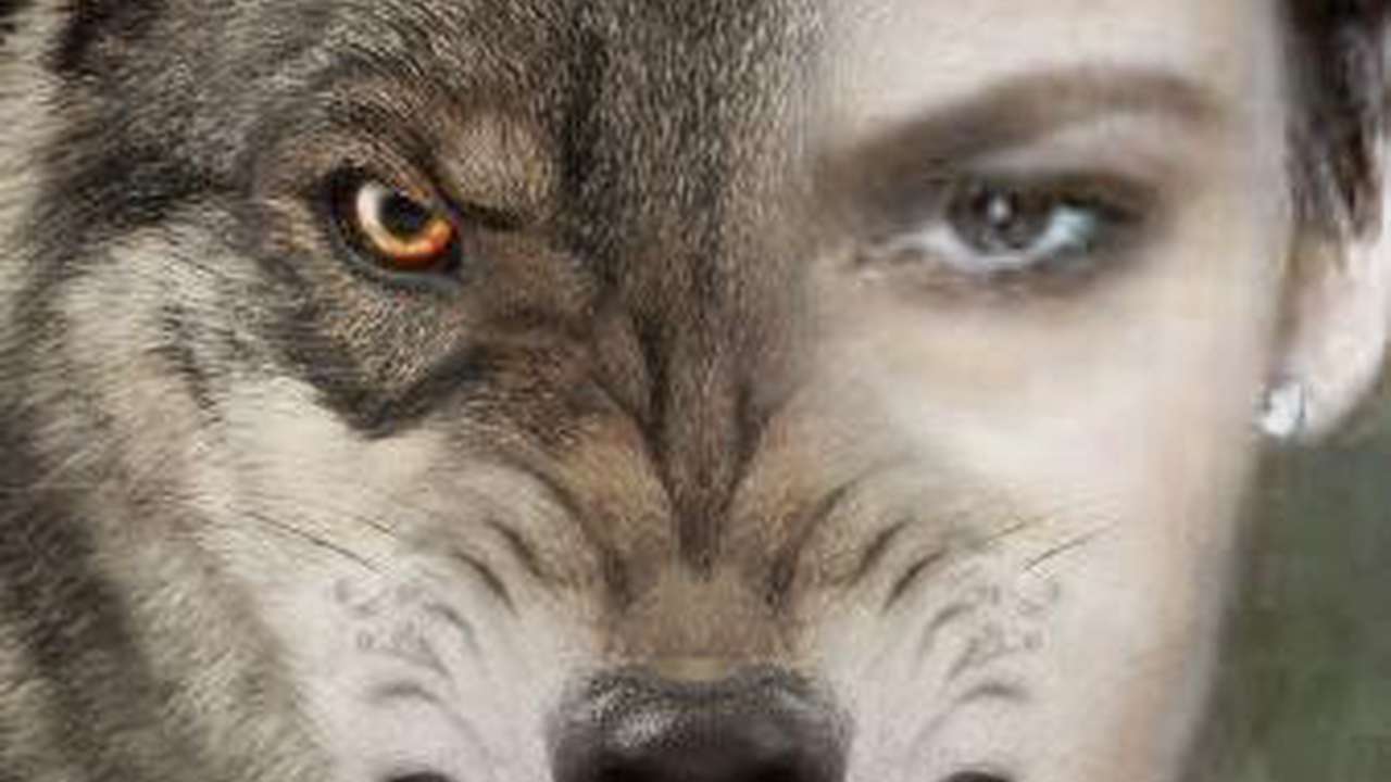 Fairy Jane - Je suis le loup - Ulule