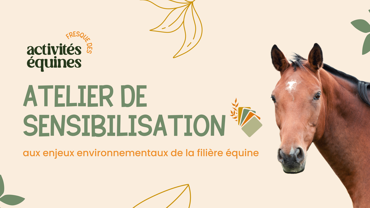 La Fresque des activités équines - Ulule