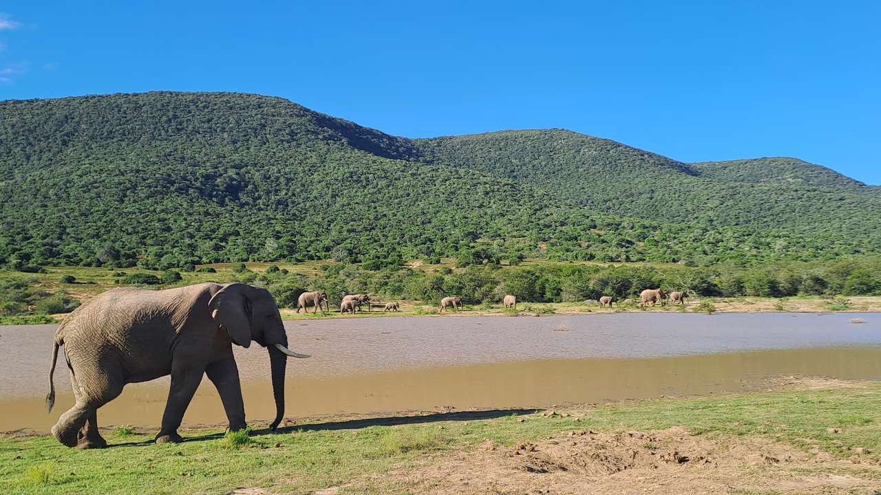 Volontariat réserve Botswana