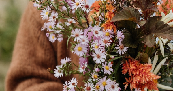 Création d'un atelier floral au cœur des monts d'or