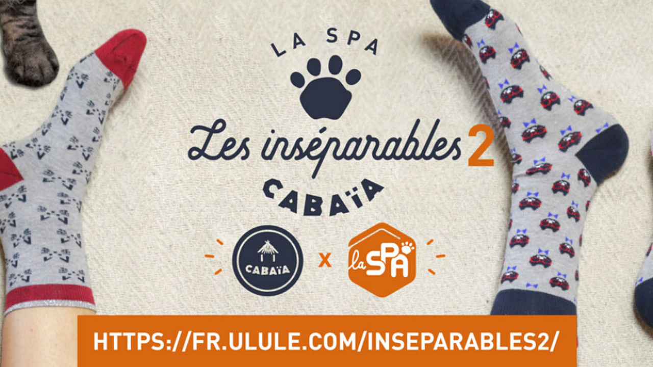 Les inséparables - La SPA x Cabaïa - Ulule