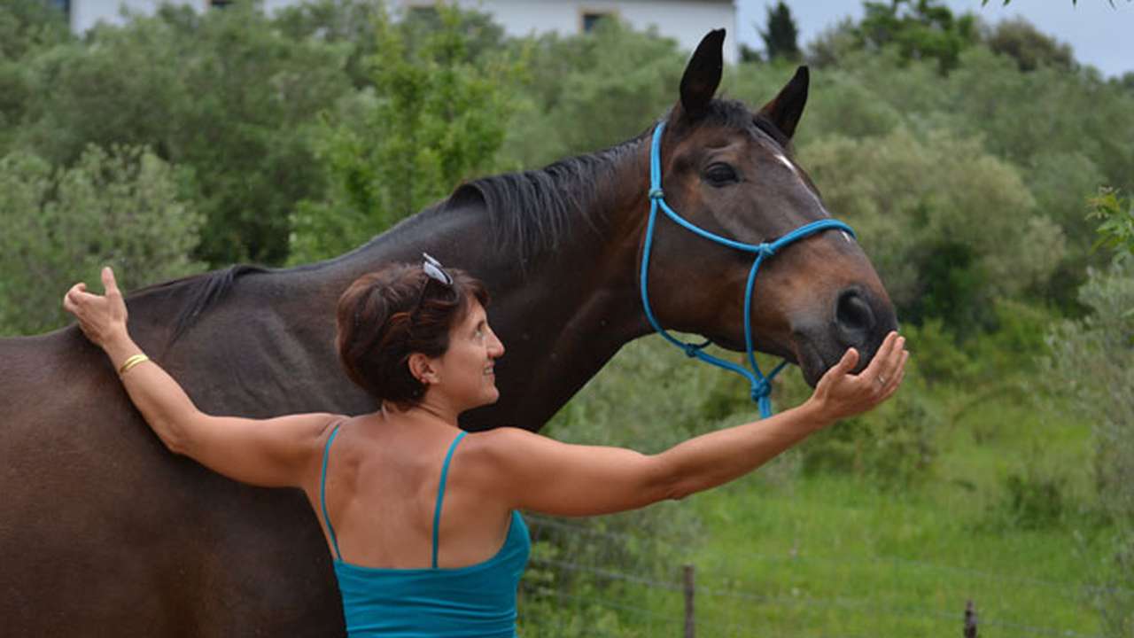 Le cheval et l'Art Danse Somato Thérapie: combo gagnant!!