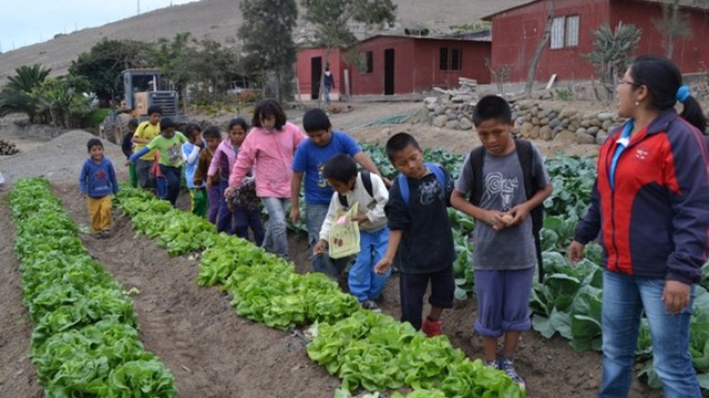 JOHANE LIBILBEHETY - Ulule