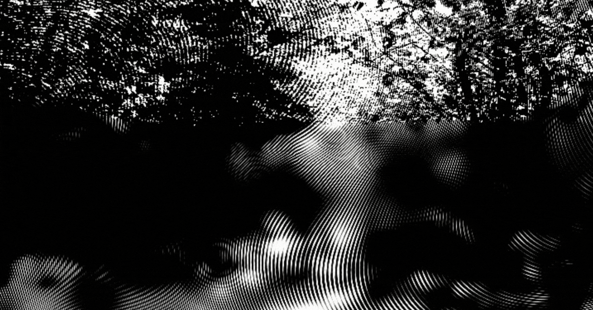 KOKORO – Le skate responsable comme expression sincère.