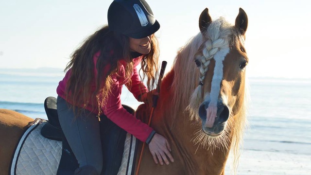 sophie bourseau - Ulule