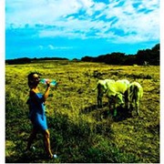 Barbara Canel - Ulule