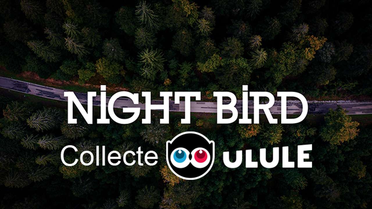 NIGHT BIRD (court-métrage réalisé par Julien Steffenoni)