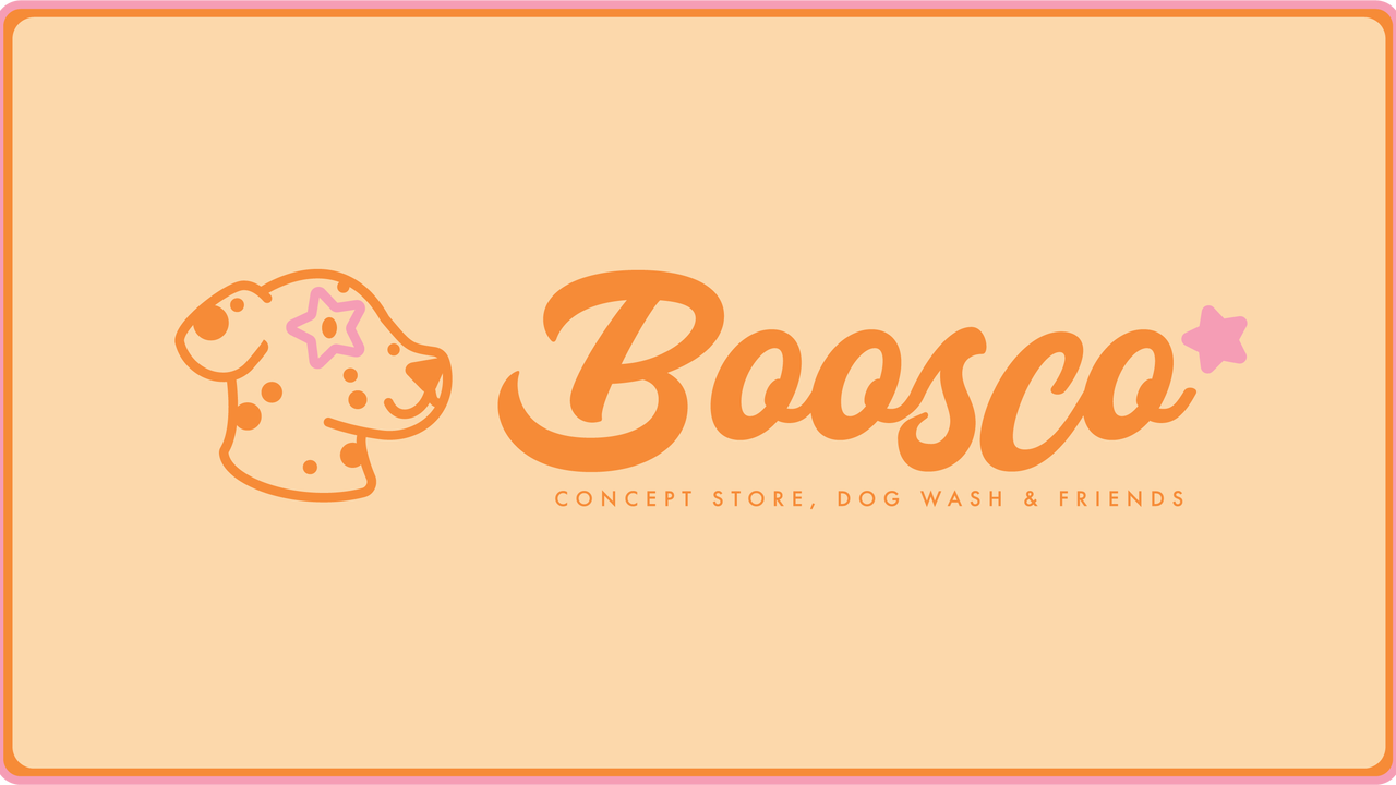 BOOSCO, le 1er concept store canin & friends des Landes
