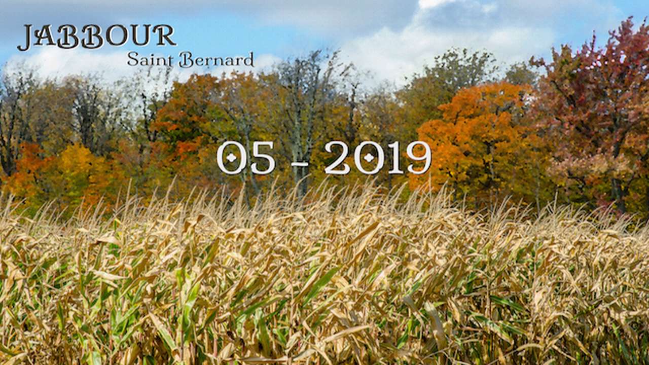 Saint Bernard - Jabbour's second studio album - Ulule