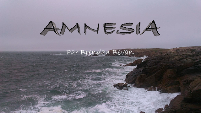 AMNESIA - Ulule