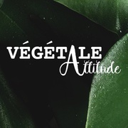 Végétale Attitude Magazine - Ulule