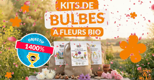 🚨Dernières Heures ⏰ Kits thématiques de bulbes à fleurs BIO - Ulule