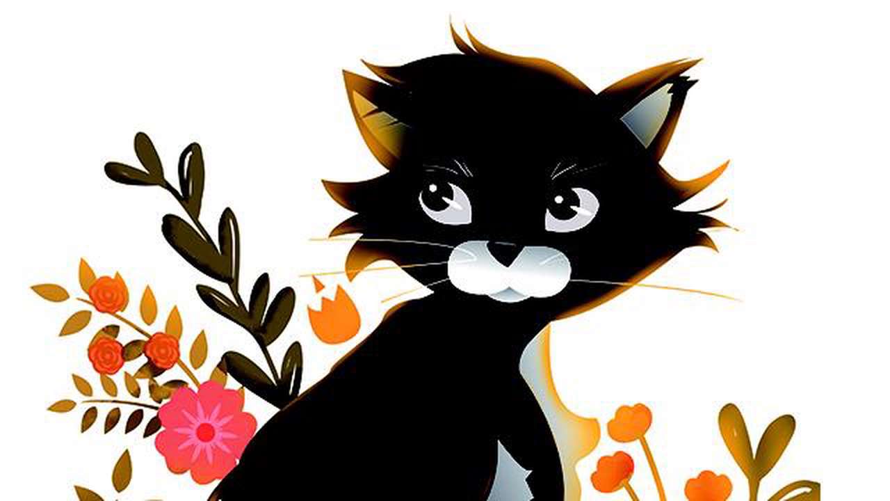 Les mots de mon histoire