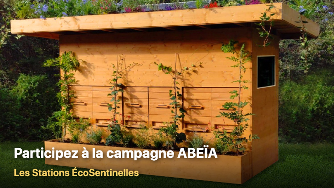 Abeïa – Offrez un refuge aux abeilles, semez la biodiversité